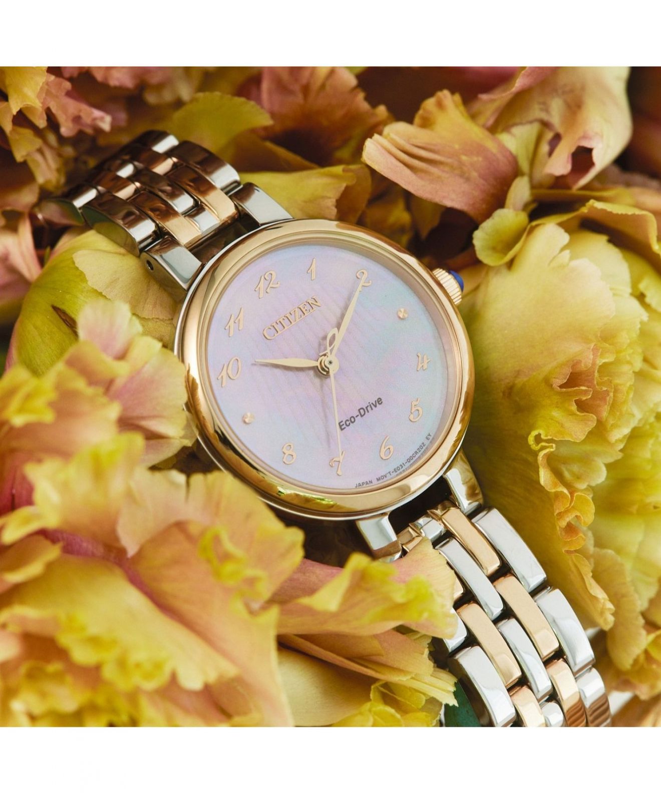 Citizen EM0996-84Y - Ceas L Elegance Solar Eco-Drive • Eceasuri.ro